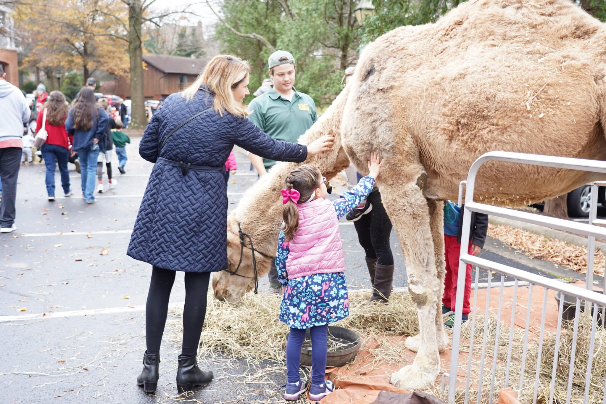 Live Nativity & Christmas Show - Event - McLean Presbyterian